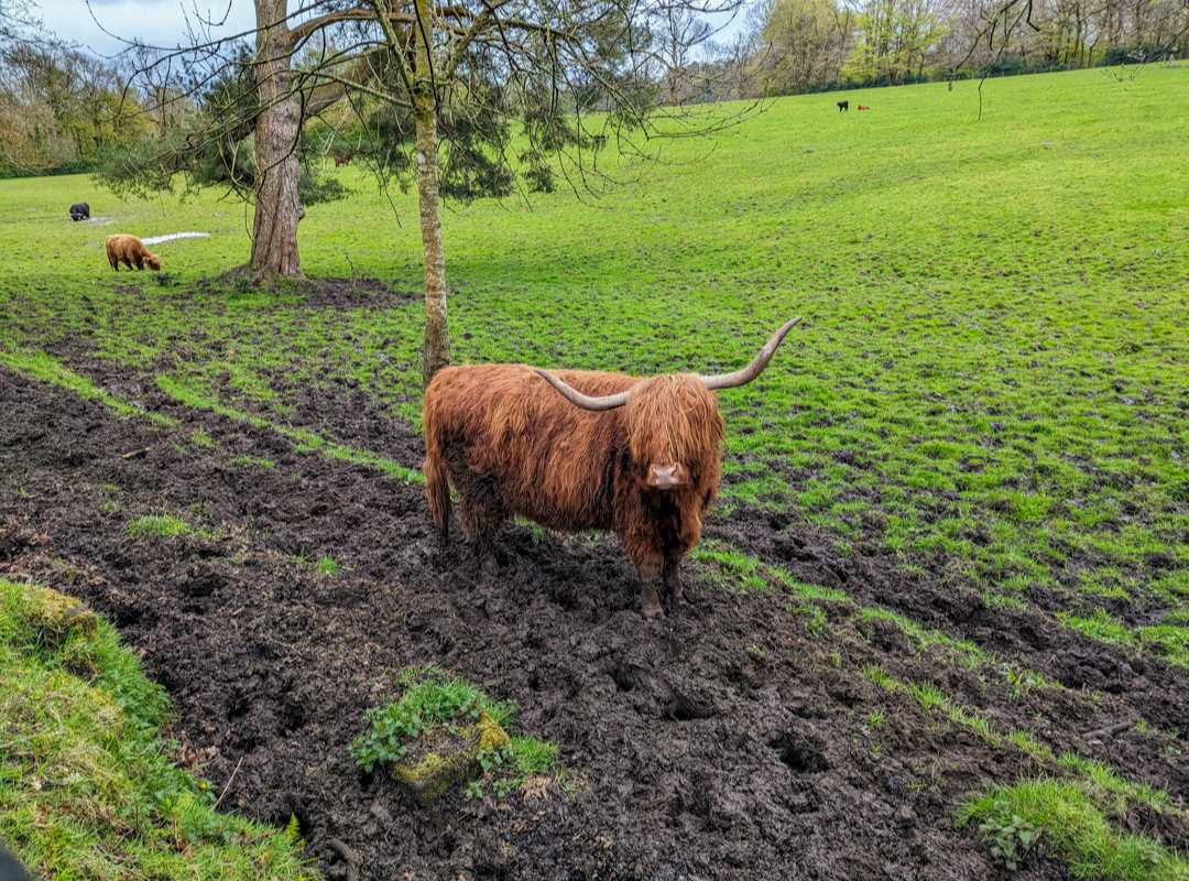 13 Best Day Trips From Glasgow By Public Transport